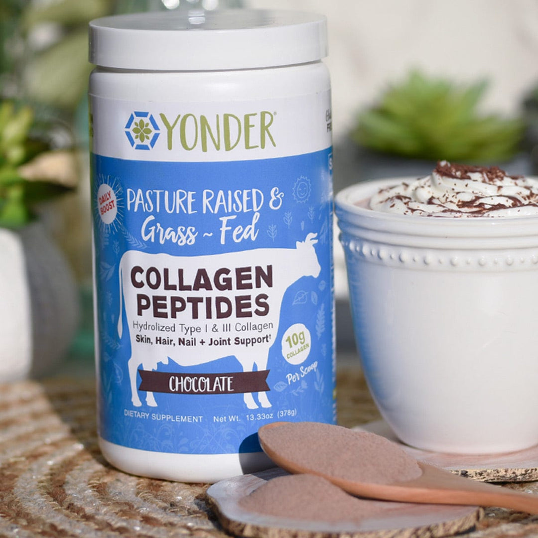 Collagen Peptides Chocolate | Chocolate Collagen - Yonder