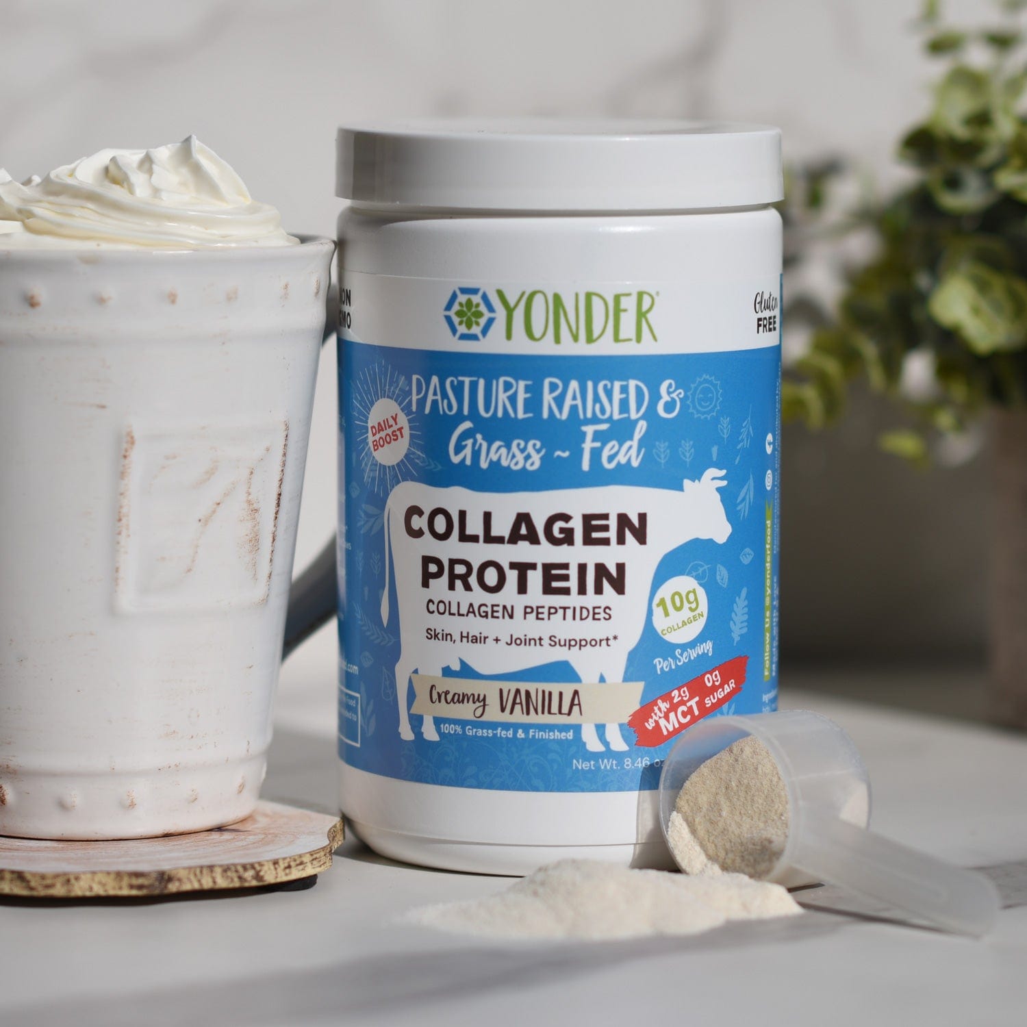 Collagen Protein Creamy Vanilla | Vanilla Collagen - Yonder